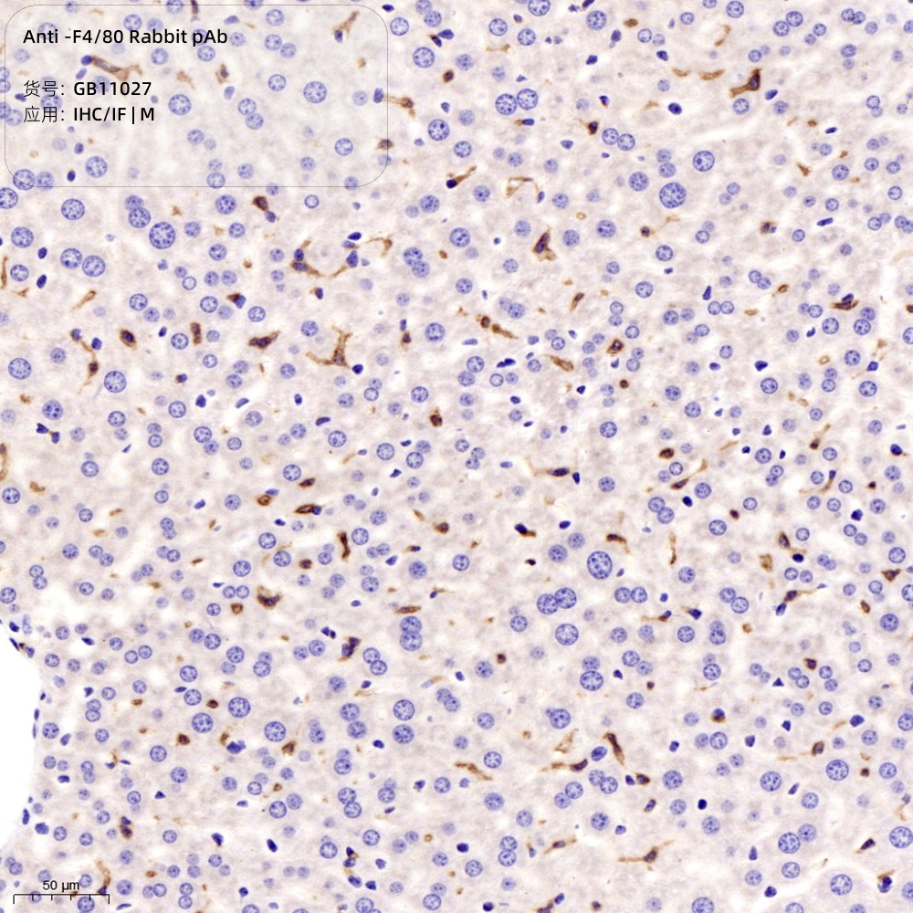 One-stop Supplier of Life Science Products