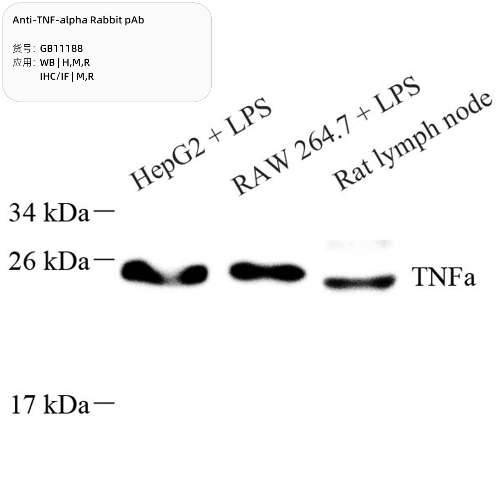 One-stop Supplier of Life Science Products