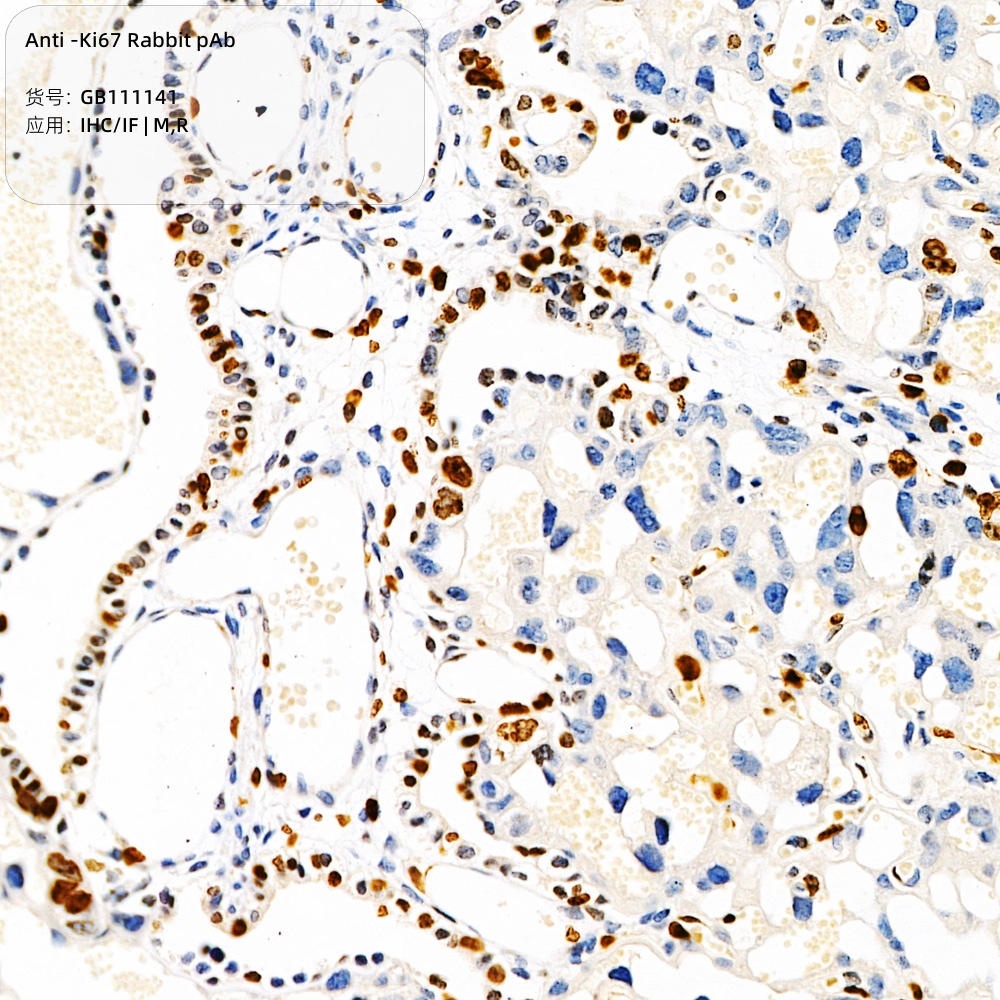 One-stop Supplier of Life Science Products