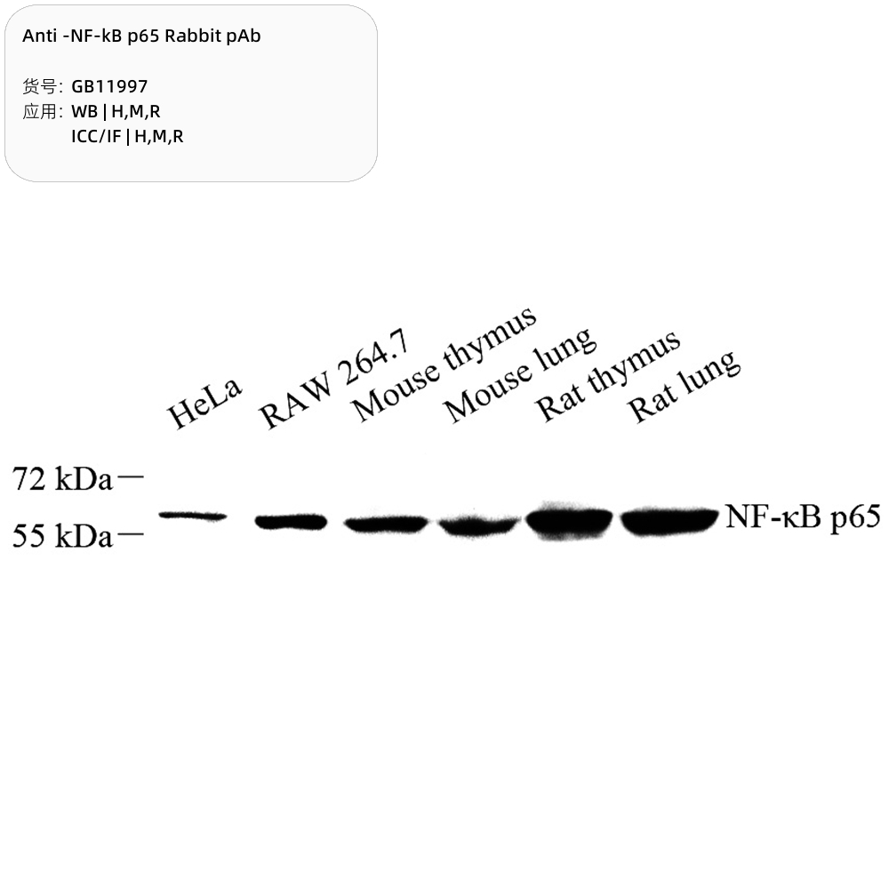 One-stop Supplier of Life Science Products