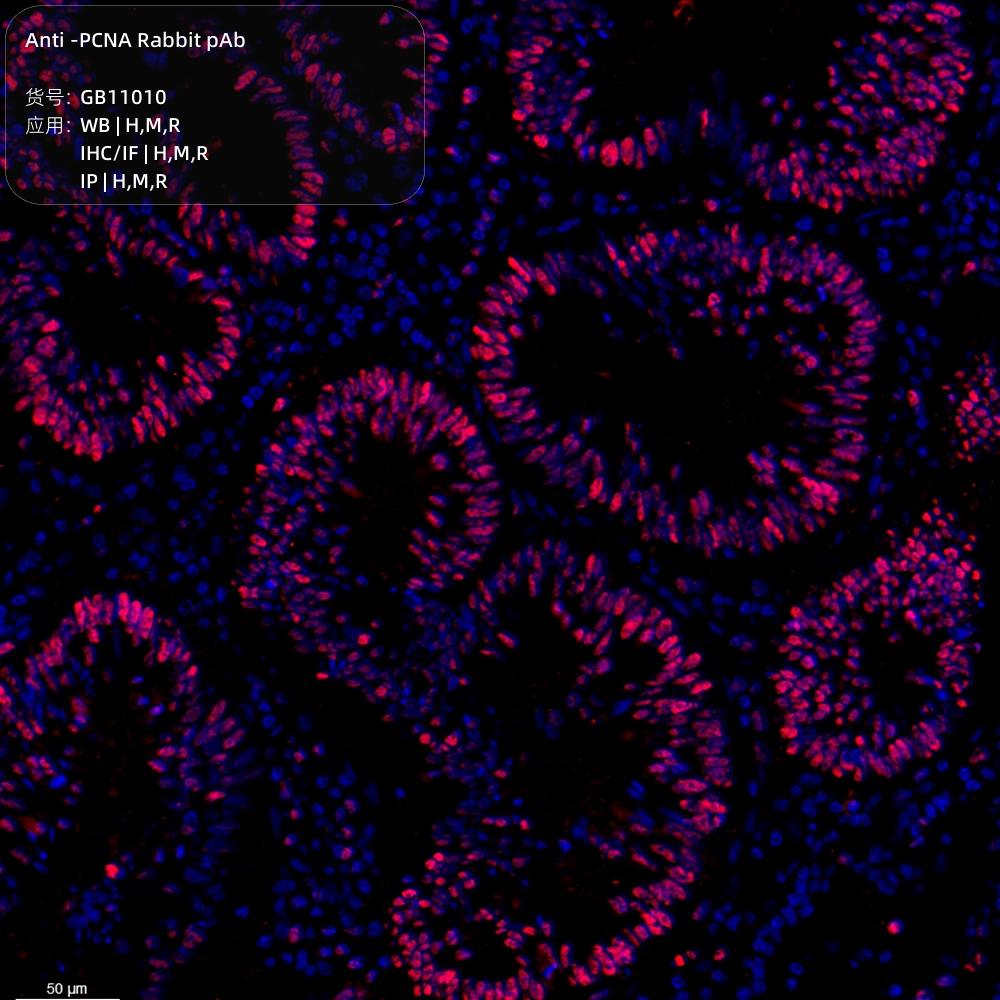 One-stop Supplier of Life Science Products