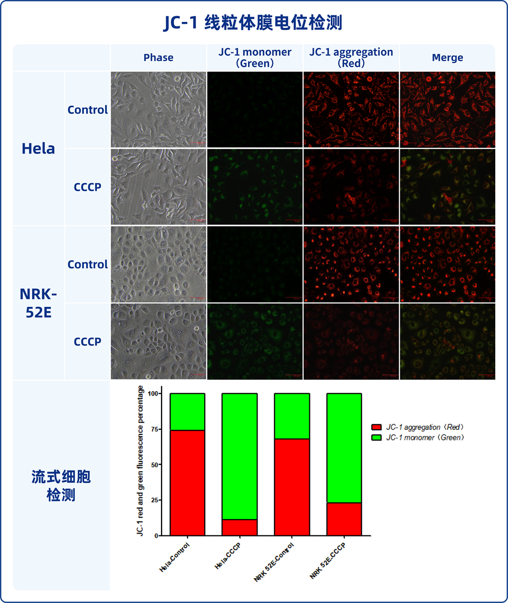 赛维尔生物服务|产品_Servicebio_武汉赛维尔生物科技有限公司