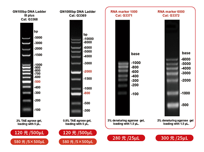赛维尔生物服务|产品_Servicebio_武汉赛维尔生物科技有限公司