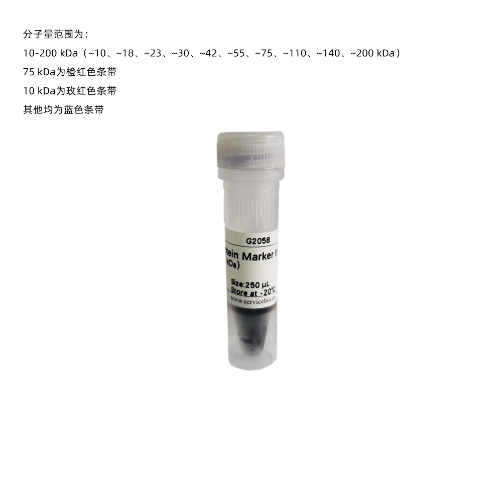 赛维尔生物服务|产品_Servicebio_武汉赛维尔生物科技有限公司