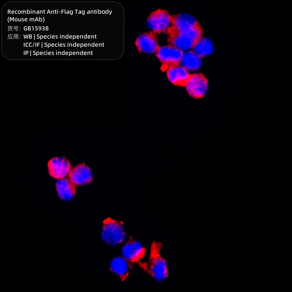 赛维尔生物服务|产品_Servicebio_武汉赛维尔生物科技有限公司