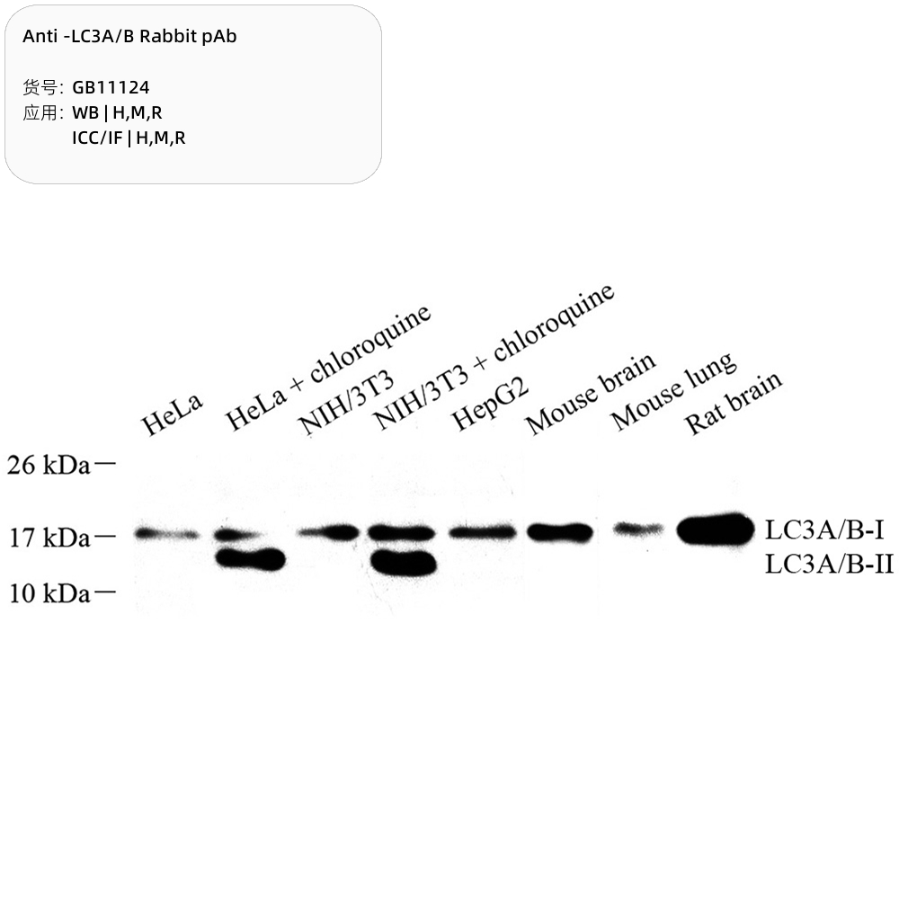 One-stop Supplier of Life Science Products
