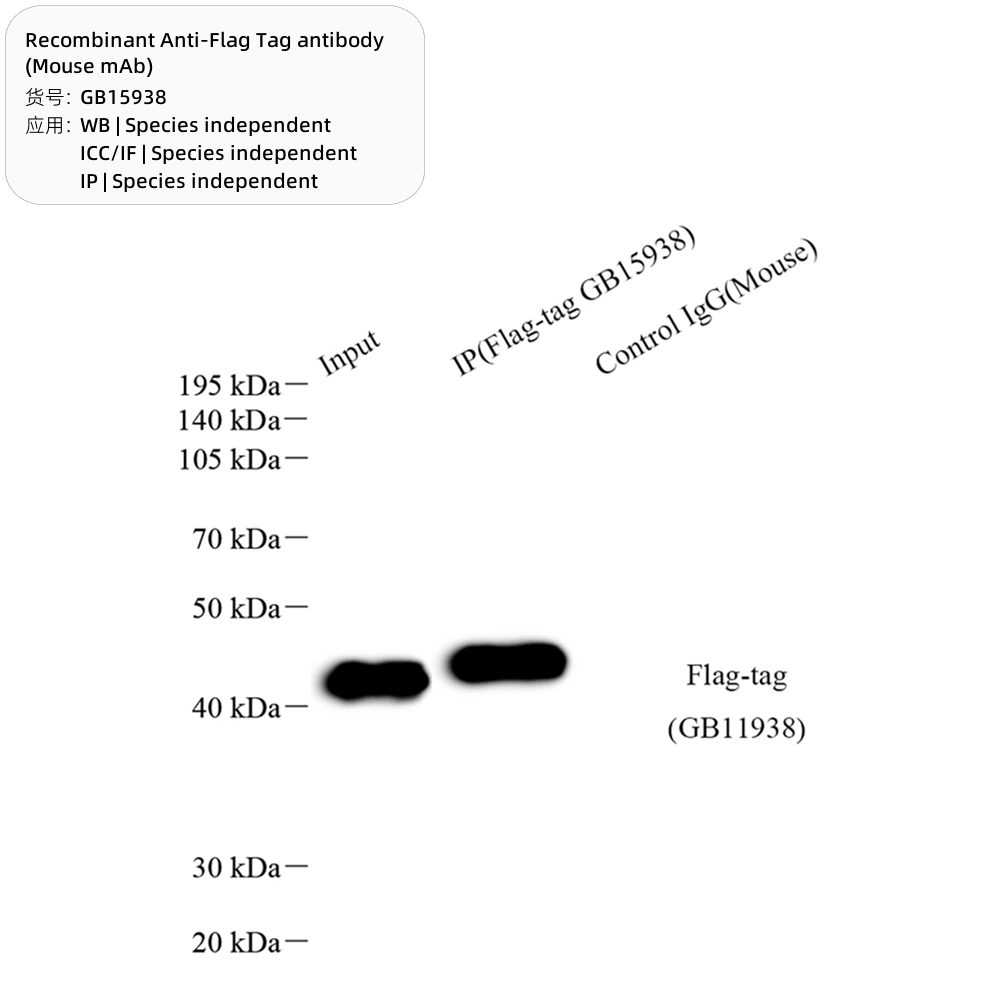 赛维尔生物服务|产品_Servicebio_武汉赛维尔生物科技有限公司