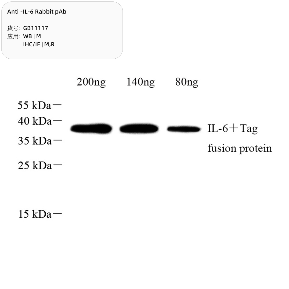 One-stop Supplier of Life Science Products