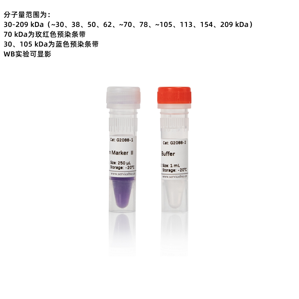 赛维尔生物服务|产品_Servicebio_武汉赛维尔生物科技有限公司