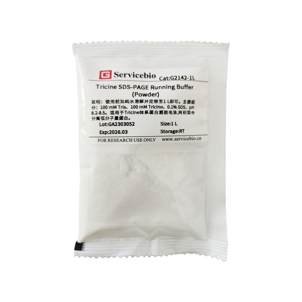 赛维尔生物服务|产品_Servicebio_武汉赛维尔生物科技有限公司