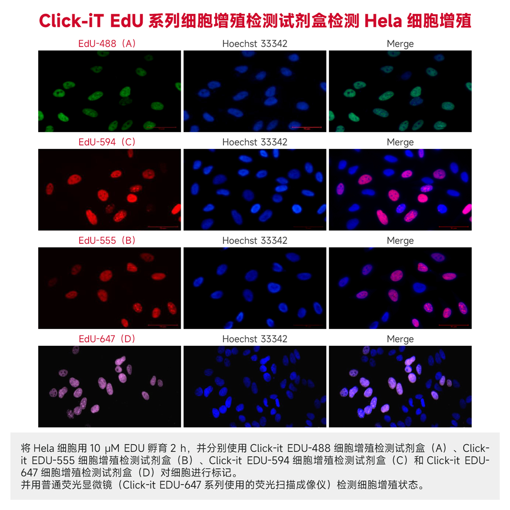 赛维尔生物服务|产品_Servicebio_武汉赛维尔生物科技有限公司