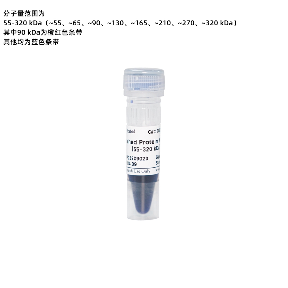 赛维尔生物服务|产品_Servicebio_武汉赛维尔生物科技有限公司