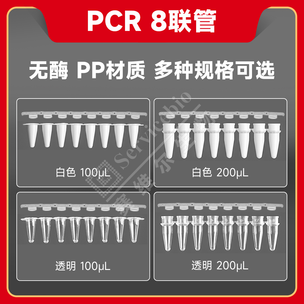 赛维尔生物服务|产品_Servicebio_武汉赛维尔生物科技有限公司