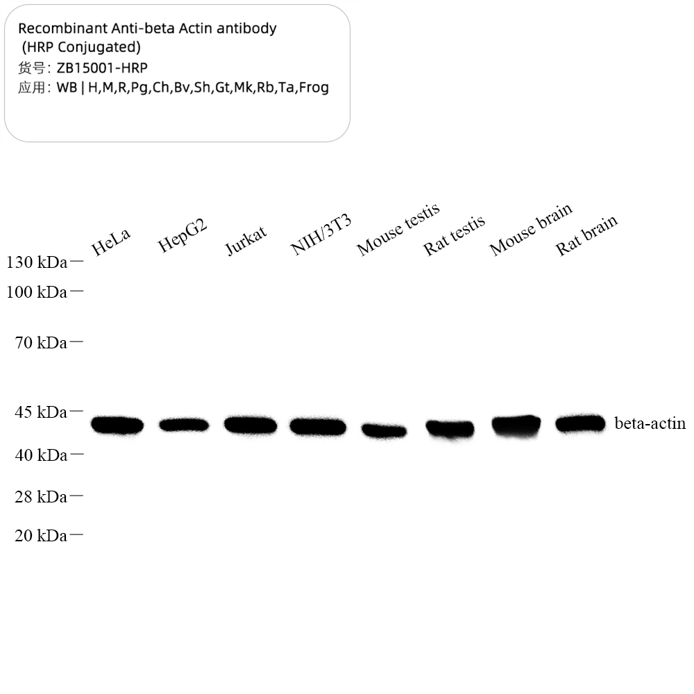 One-stop Supplier of Life Science Products
