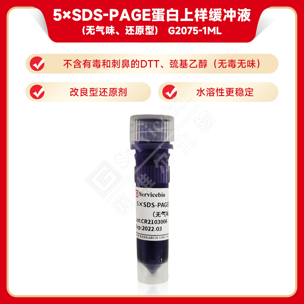 赛维尔生物服务|产品_Servicebio_武汉赛维尔生物科技有限公司