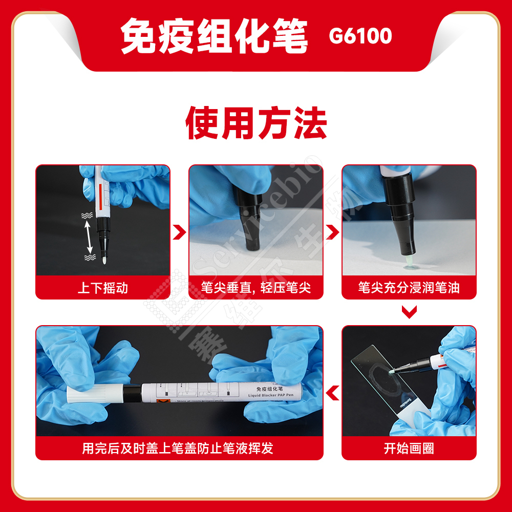 赛维尔生物服务|产品_Servicebio_武汉赛维尔生物科技有限公司