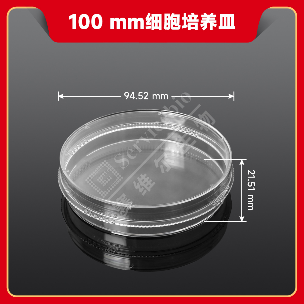 赛维尔生物服务|产品_Servicebio_武汉赛维尔生物科技有限公司