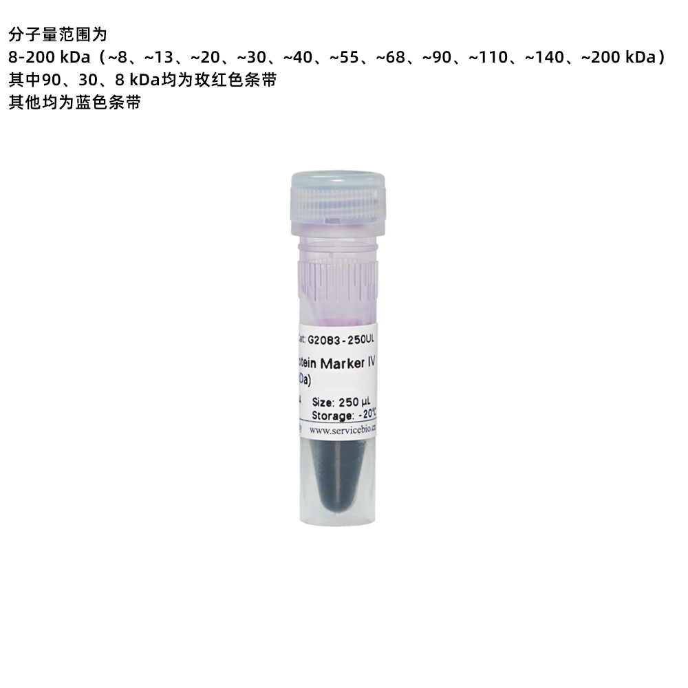 赛维尔生物服务|产品_Servicebio_武汉赛维尔生物科技有限公司
