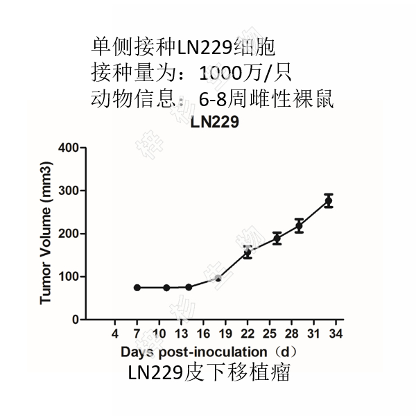 赛维尔生物服务|产品_Servicebio_武汉赛维尔生物科技有限公司