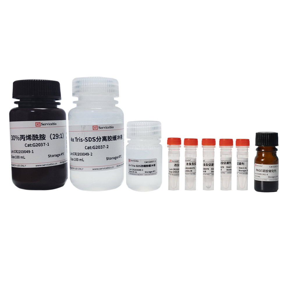 赛维尔生物服务|产品_Servicebio_武汉赛维尔生物科技有限公司