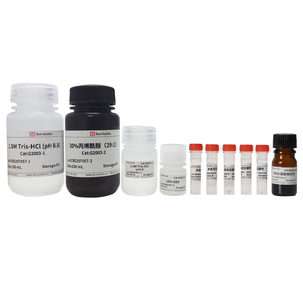 赛维尔生物服务|产品_Servicebio_武汉赛维尔生物科技有限公司