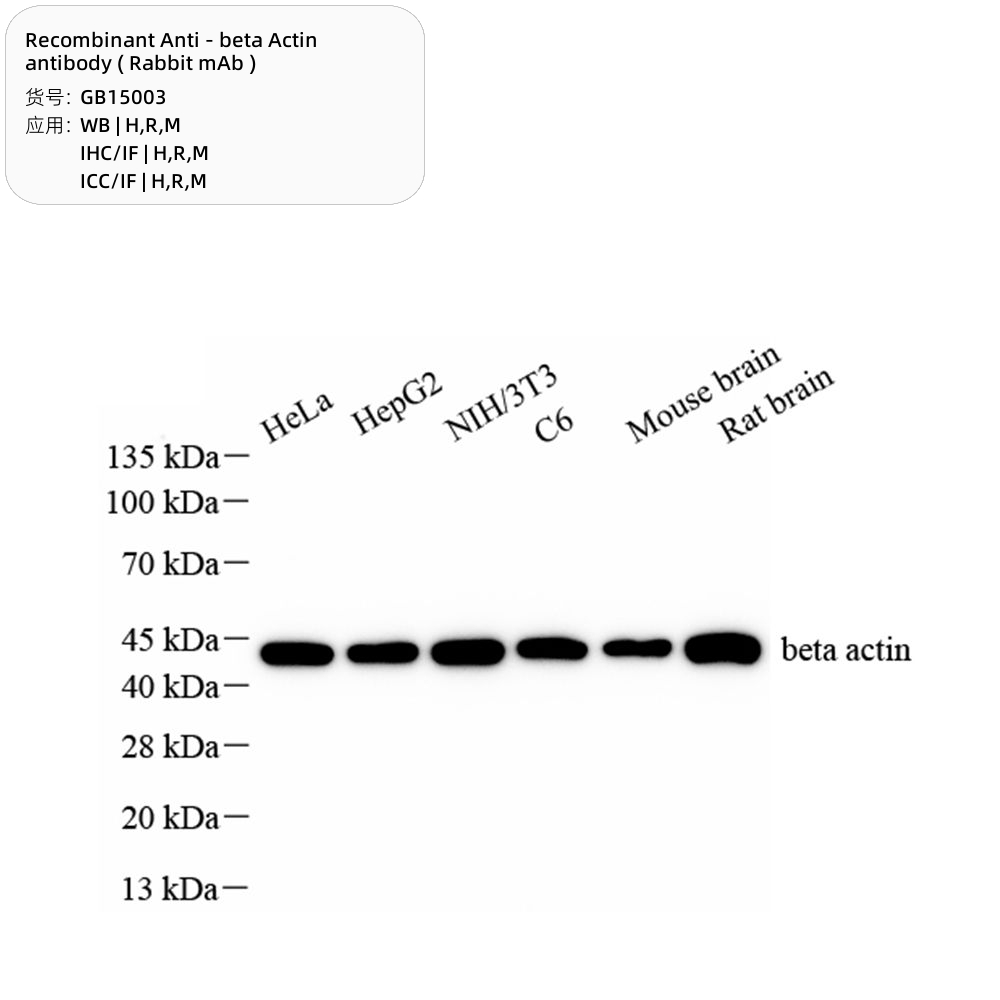 One-stop Supplier of Life Science Products