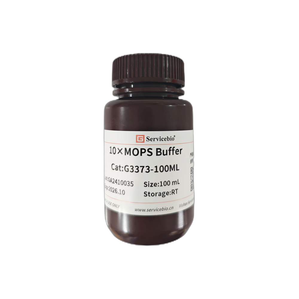 赛维尔生物服务|产品_Servicebio_武汉赛维尔生物科技有限公司