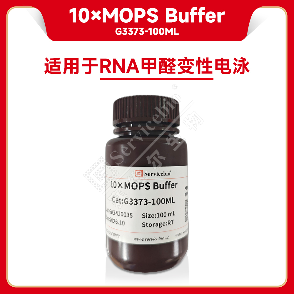 赛维尔生物服务|产品_Servicebio_武汉赛维尔生物科技有限公司