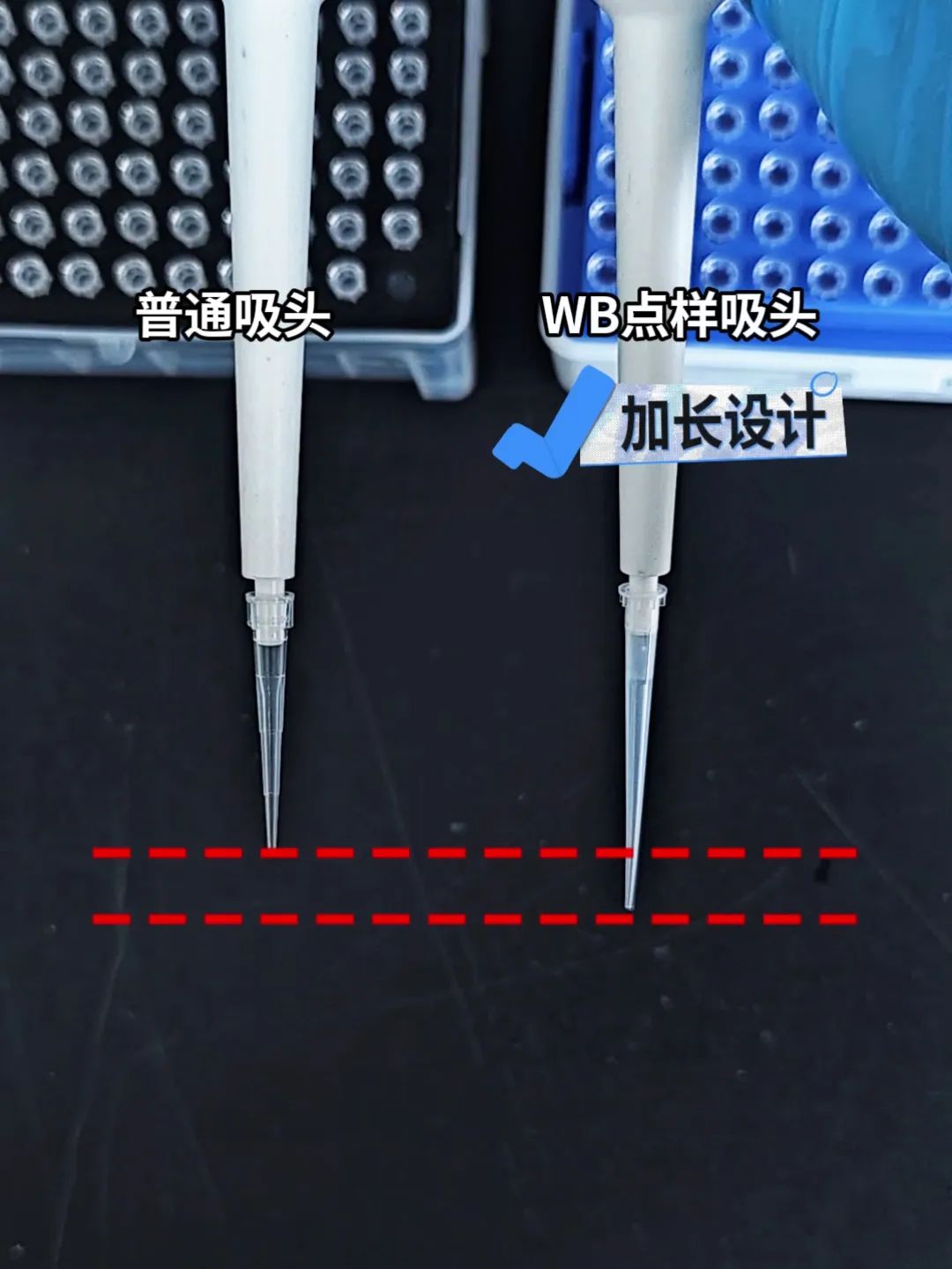 赛维尔生物服务|产品_Servicebio_武汉赛维尔生物科技有限公司