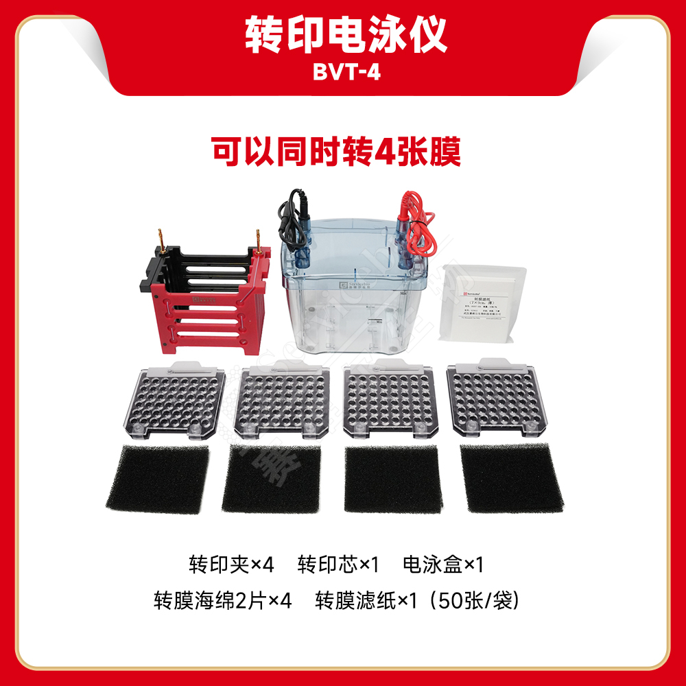 赛维尔生物服务|产品_Servicebio_武汉赛维尔生物科技有限公司