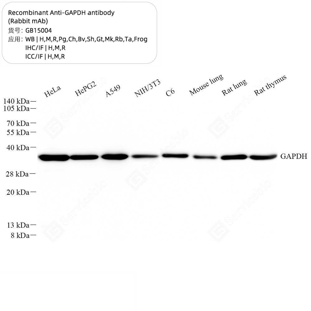 One-stop Supplier of Life Science Products