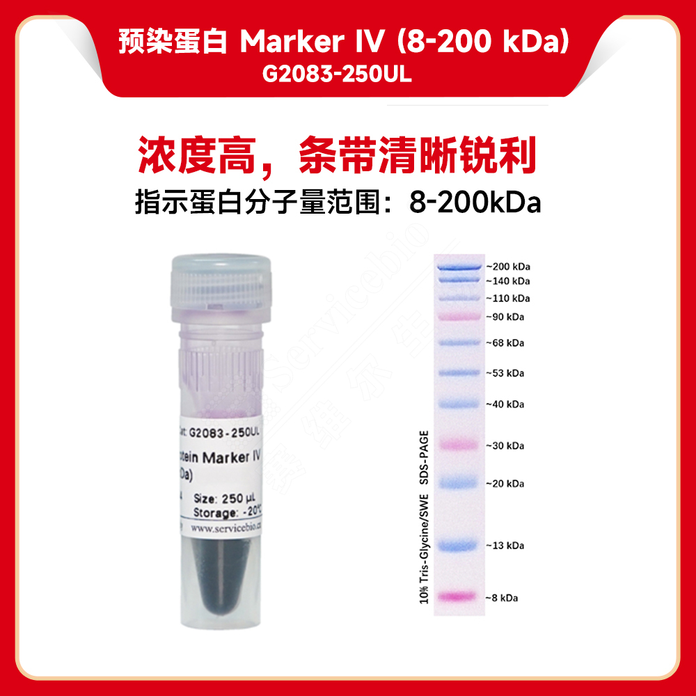 赛维尔生物服务|产品_Servicebio_武汉赛维尔生物科技有限公司