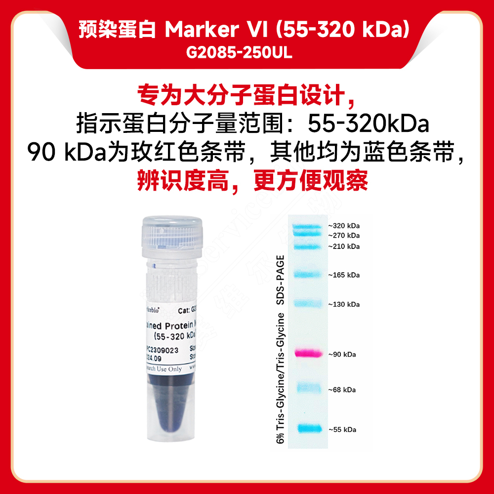 赛维尔生物服务|产品_Servicebio_武汉赛维尔生物科技有限公司