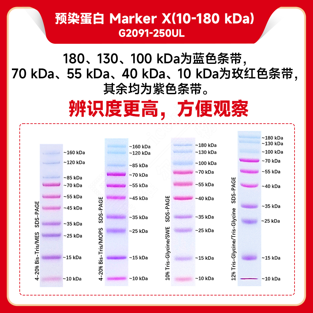 赛维尔生物服务|产品_Servicebio_武汉赛维尔生物科技有限公司