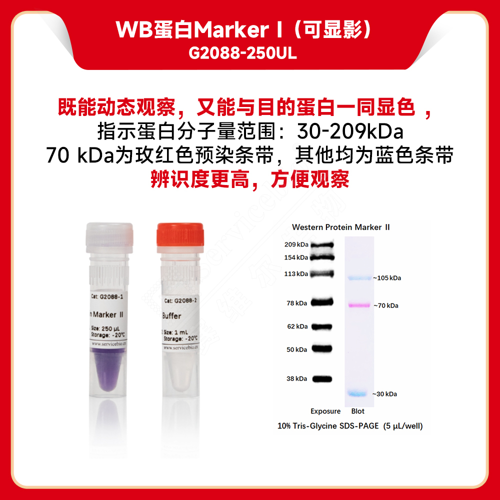 赛维尔生物服务|产品_Servicebio_武汉赛维尔生物科技有限公司