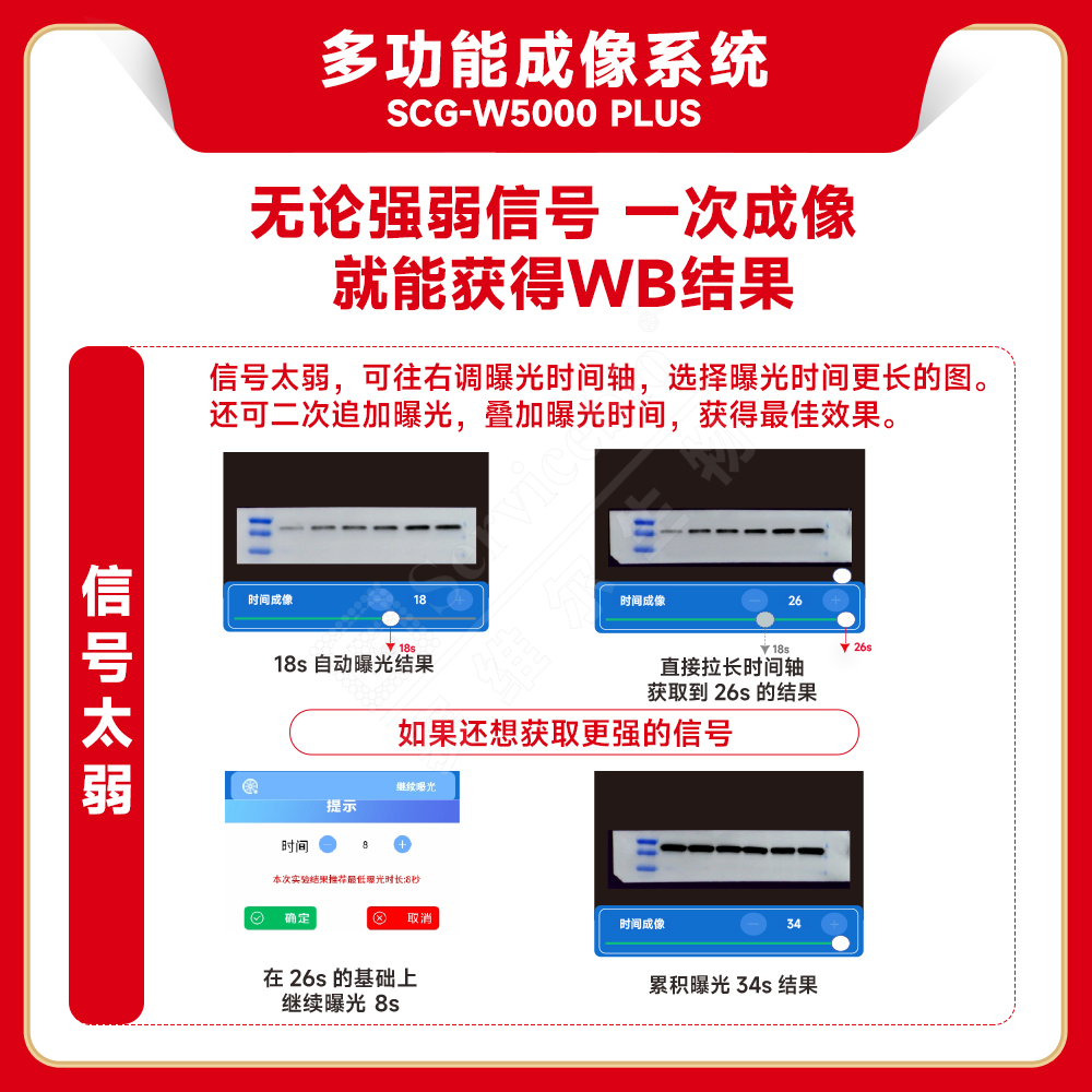 赛维尔生物服务|产品_Servicebio_武汉赛维尔生物科技有限公司