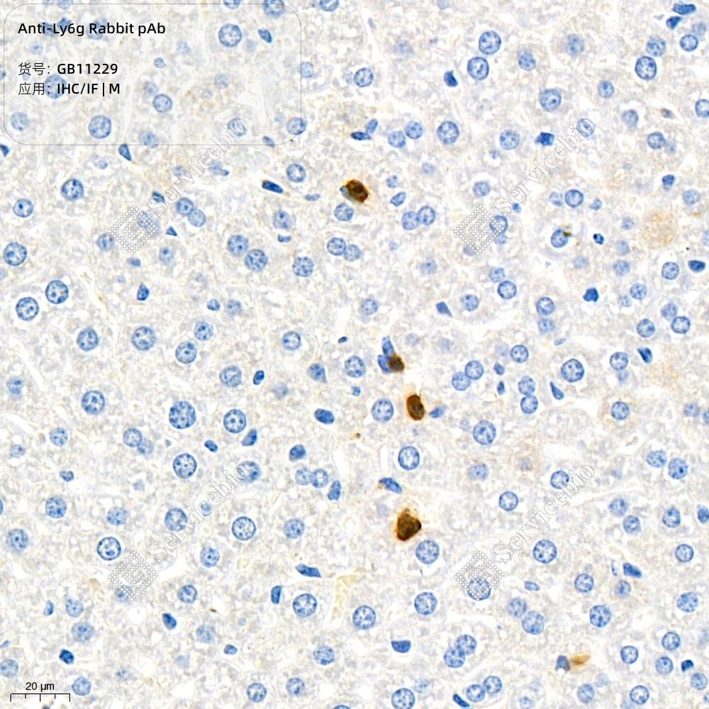 One-stop Supplier of Life Science Products