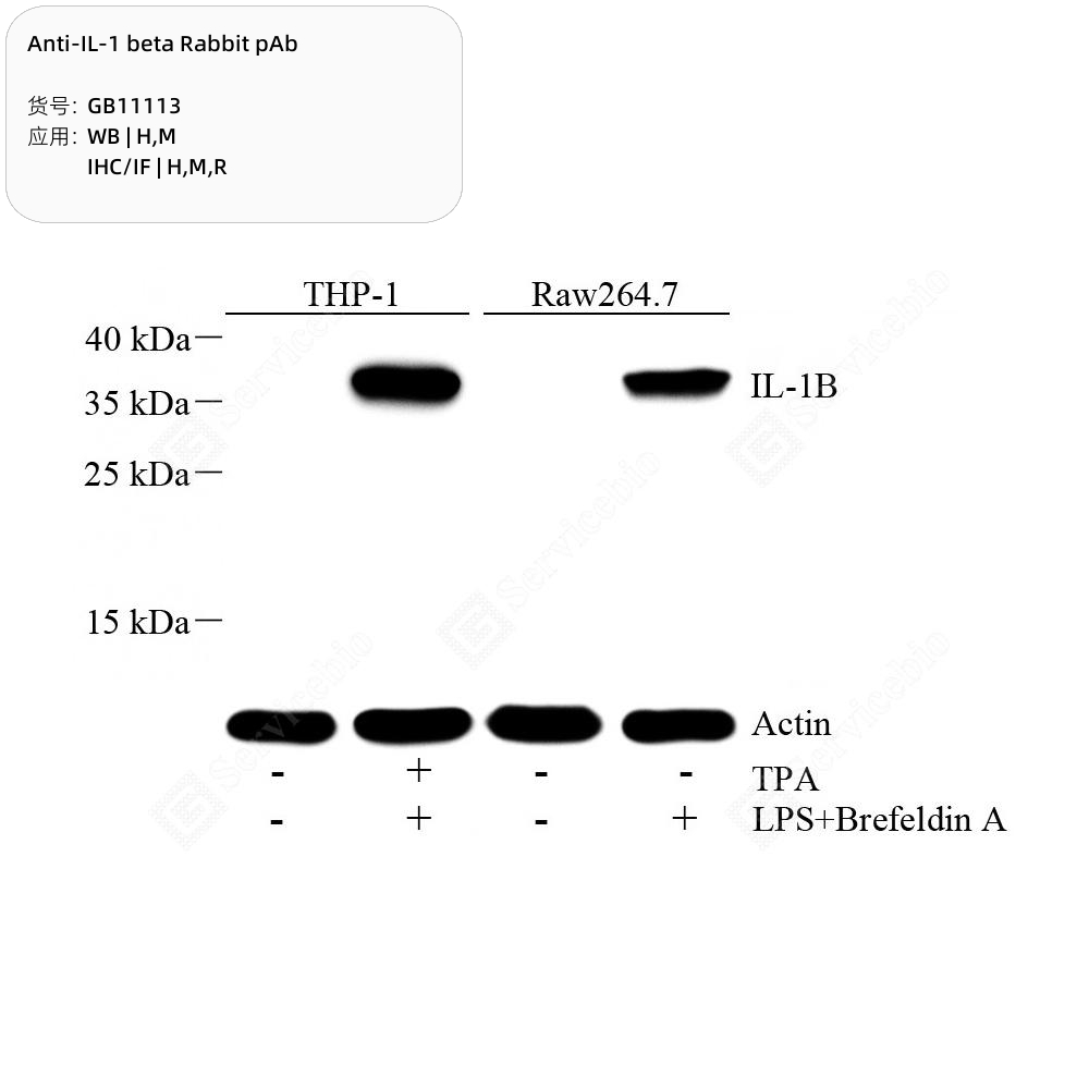 One-stop Supplier of Life Science Products
