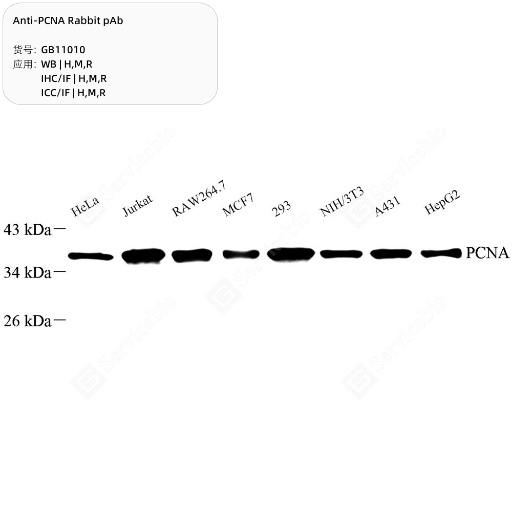 One-stop Supplier of Life Science Products