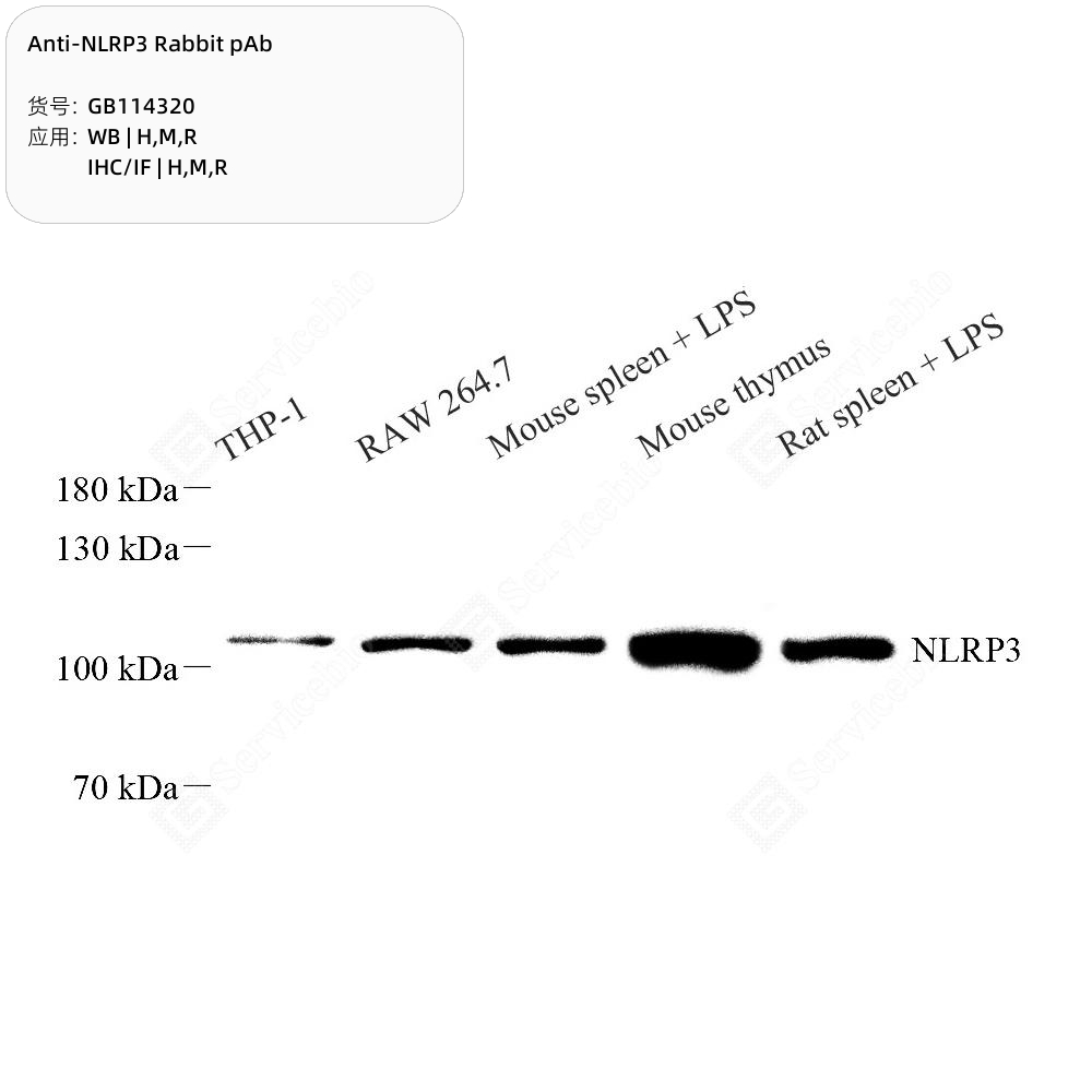 One-stop Supplier of Life Science Products