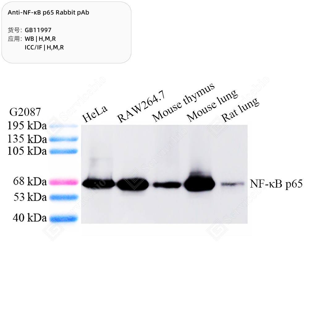 One-stop Supplier of Life Science Products