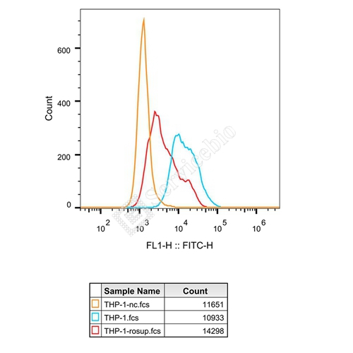赛维尔生物服务|产品_Servicebio_武汉赛维尔生物科技有限公司
